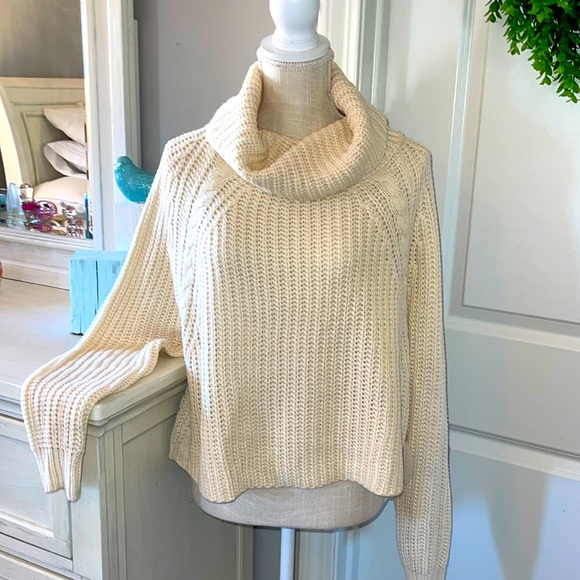 Hummingbird | Sweaters | Nwt Size Large Hummingbird Ivory Cropped ...